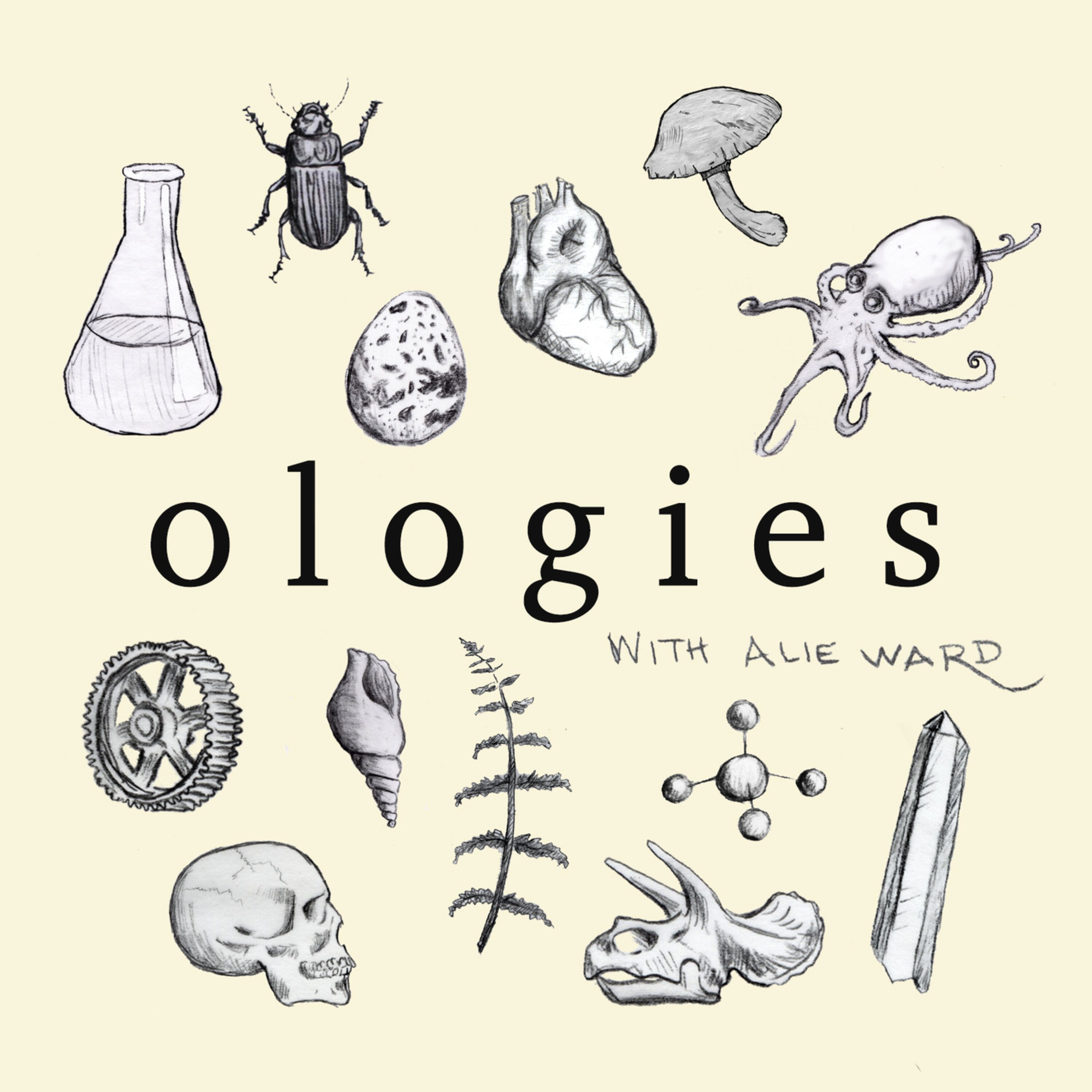 Smologies #31: INDIGENOUS COOKING with Mariah Gladstone | Ologies with ...